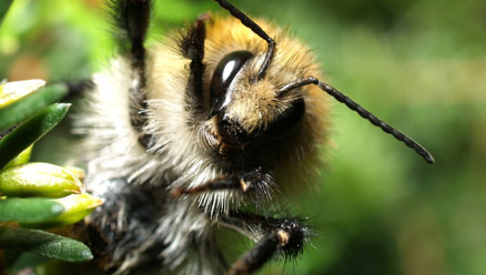 EarthCam - 25 Most Interesting Webcams of 2008